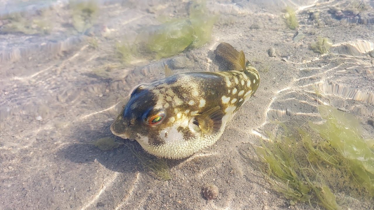 Narara Island - Marine National Park - YouTube
