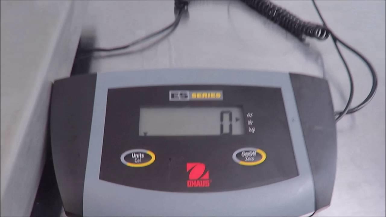 Ohaus ES200L Platform Scale - YouTube