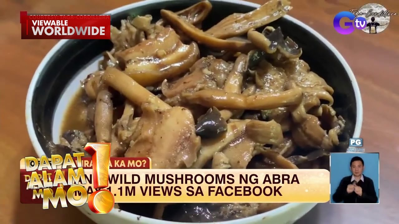 Iba’t ibang luto ng wild mushroom sa Abra, tikman | Dapat Alam Mo ...