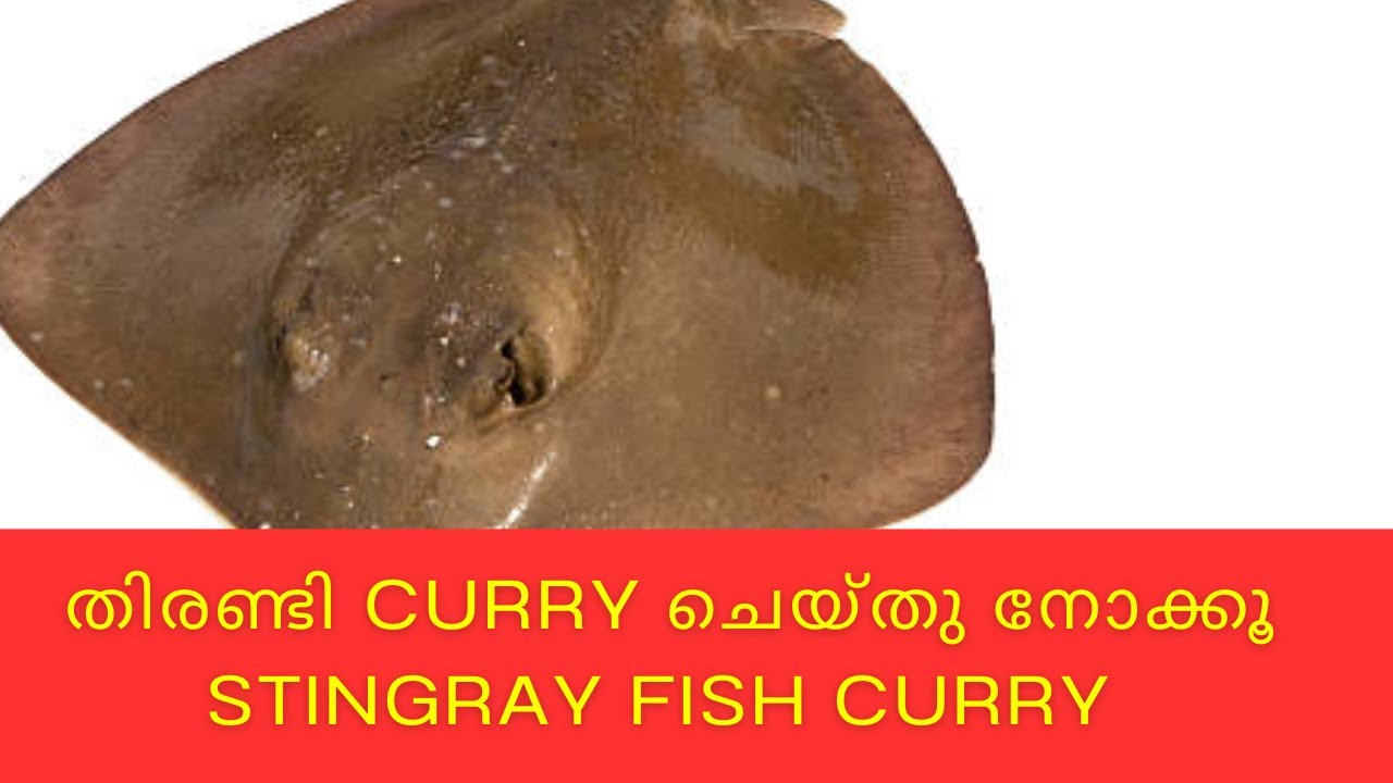 Thirandi Curry | തിരണ്ടി curry ചെയ്തു നോക്കൂ |Easy Recipe | Stingray ...