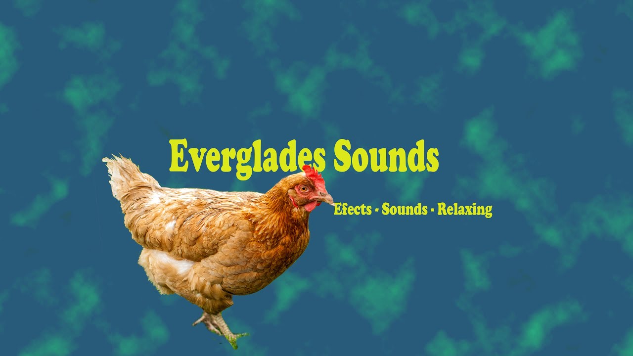 Nature Sounds / Hen Sound / 5 Hours Relaxation / प्रकृति लगताहै - YouTube