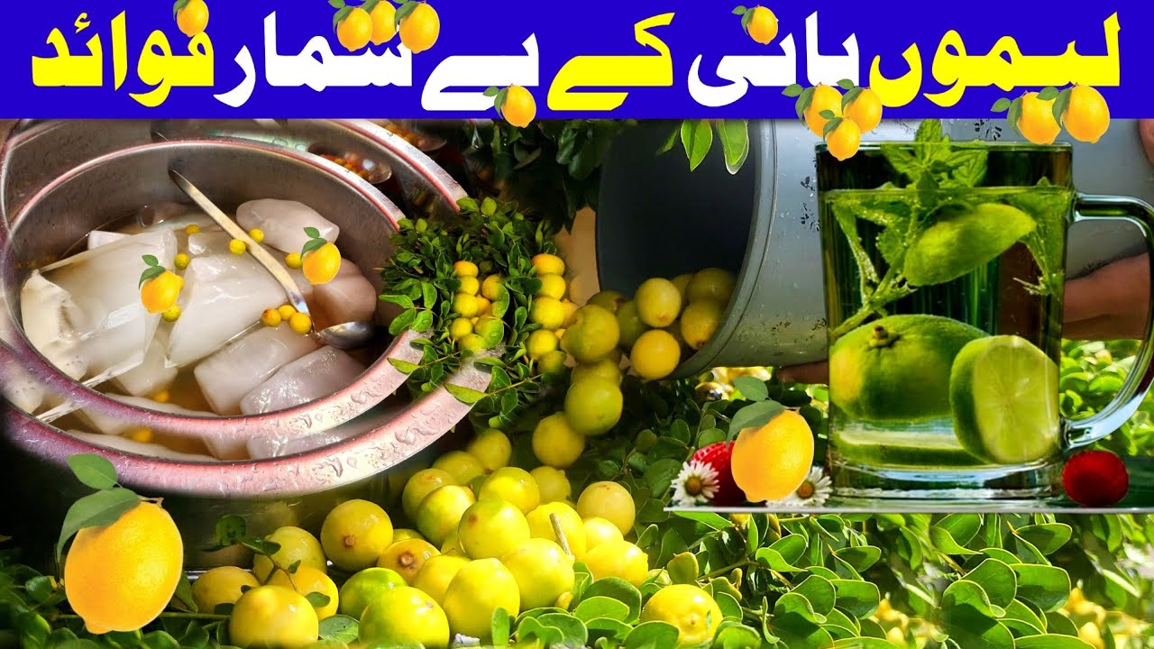 NIMBU PANI SUMMER | Refreshing Street Drink Limo Pani Lime Water at ...