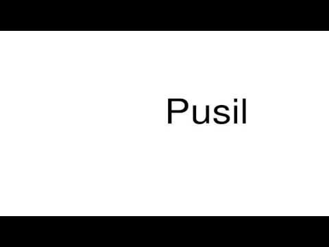 How to pronounce Pusil - YouTube