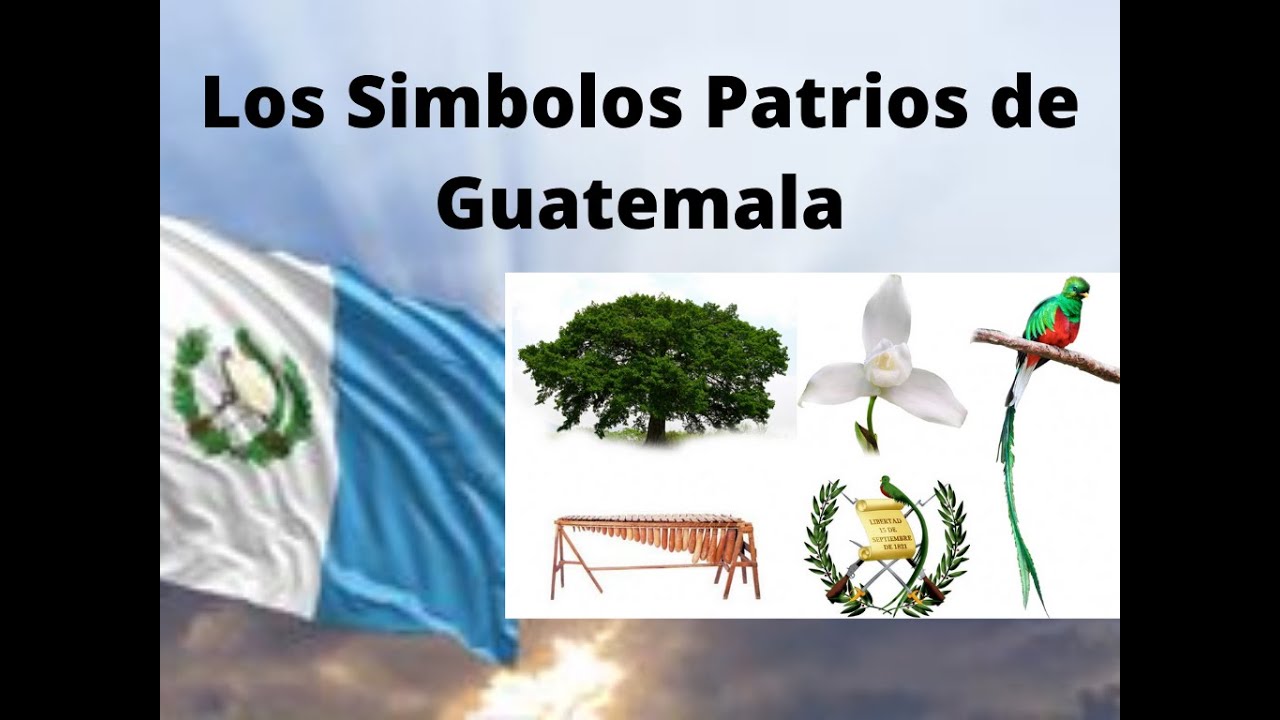Historia De Los Simbolos Patrios Guatemala Personas