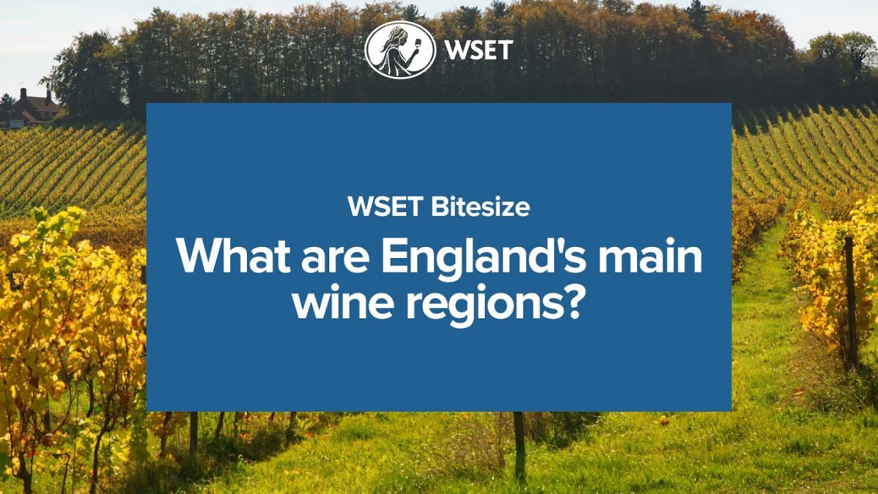 WSET Bitesize - What are England's main wine regions - YouTube