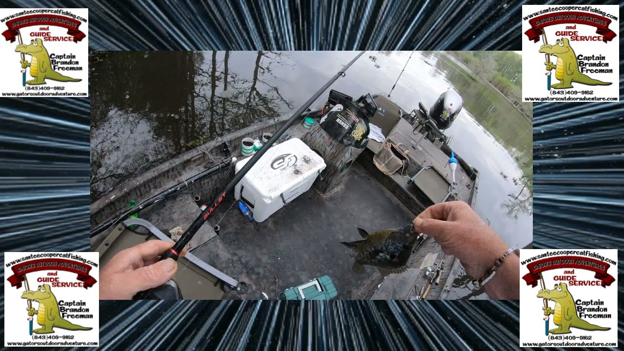 Santee Cooper Shellcracker Fishing - YouTube