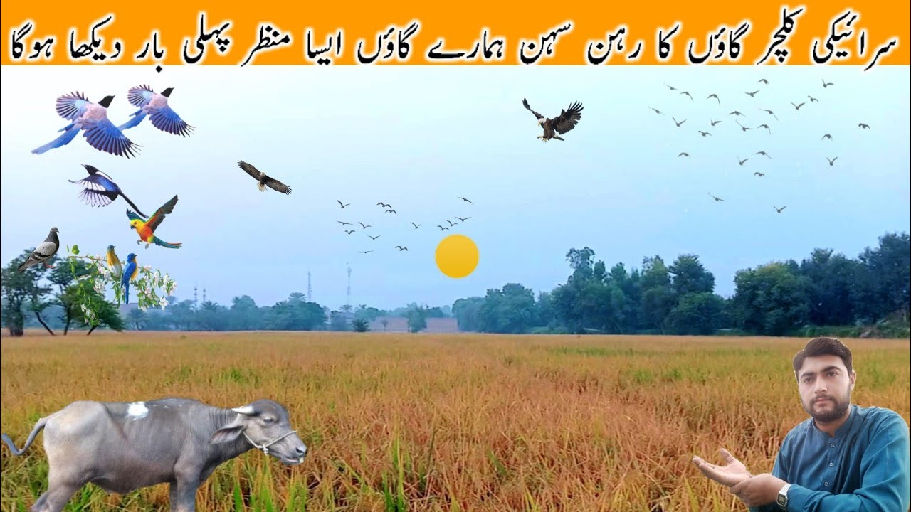 Saraiki Culture Beautiful Village | Pakistan ka Khubsurat Gaon Village ...