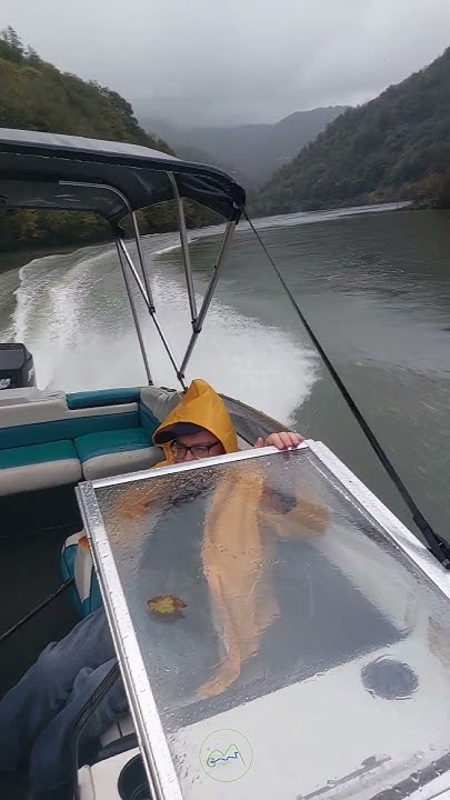 Boattrip აჭარისწყალი And ჭოროხის შესართავი Acharistskali And Chorokhi