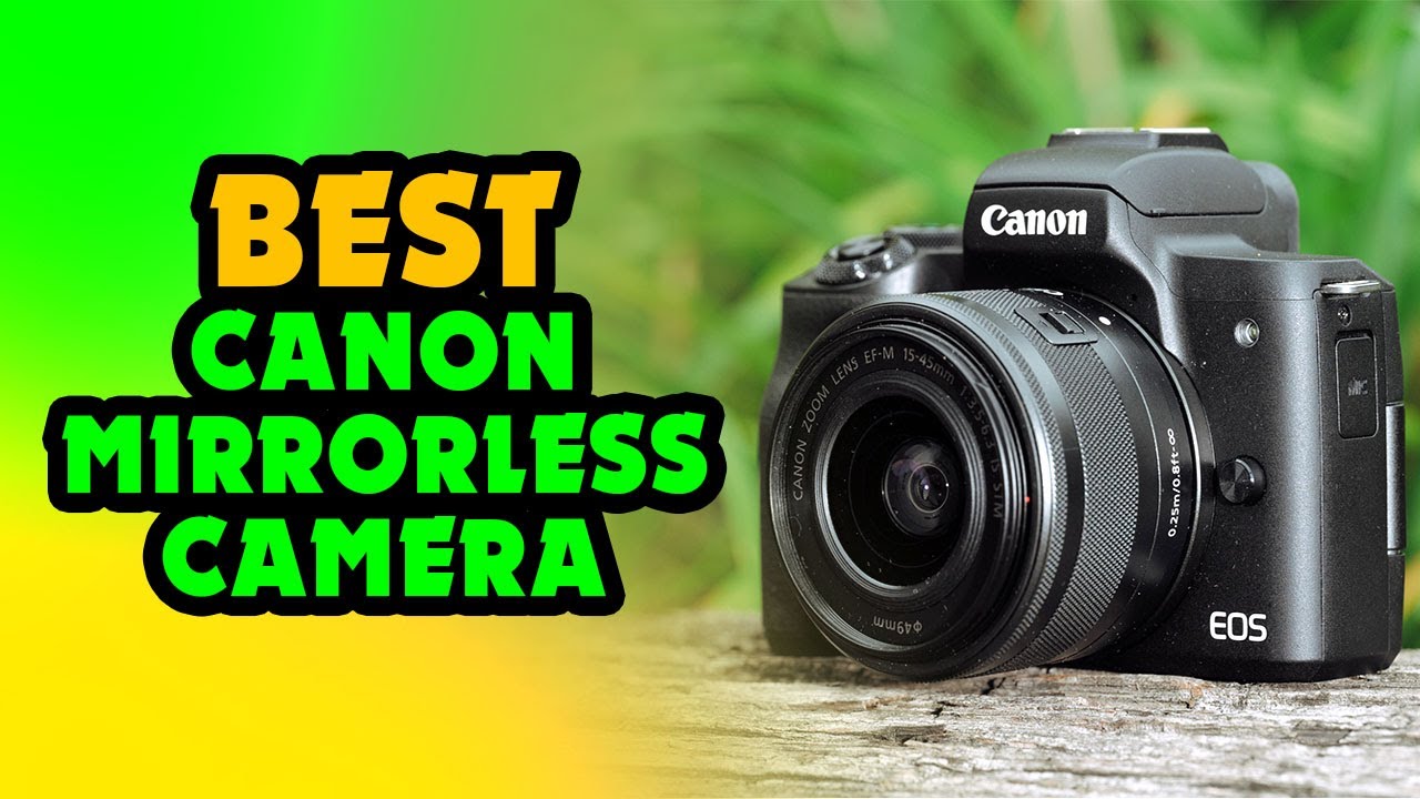 Best Pro Mirrorless Camera 2021 at Bridget Huizenga blog