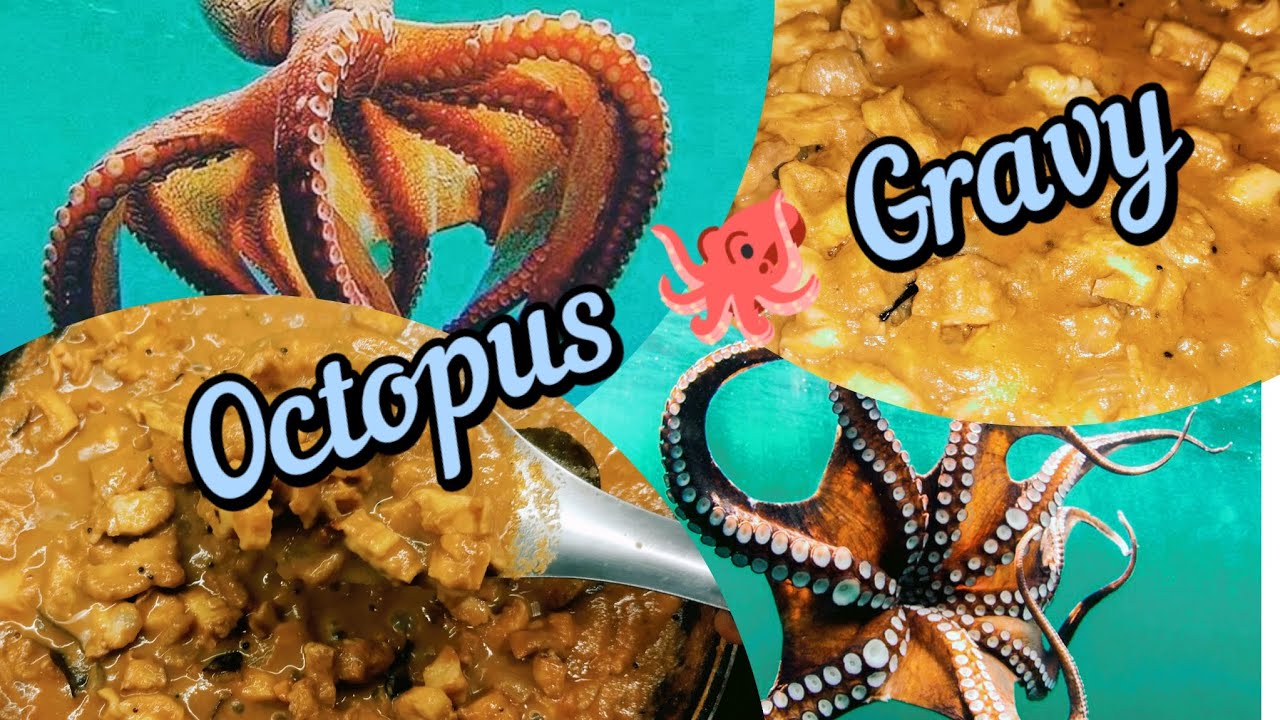 Octopus Gravy Gravy In Tamil bulgaria varna YouTube octopus-gravy-gravy-in-tamil-bulgaria-varna-youtube