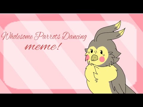 Wholesome Parrots Dancing Meme | 💕 - YouTube