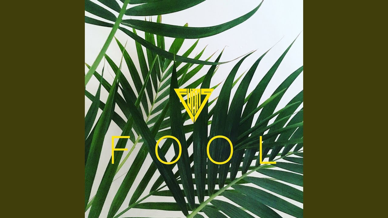 Fool YouTube fool-youtube