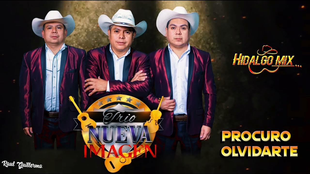 Trío Nueva Imagen Procuro Olvidarte Hidalgo Mix Youtube