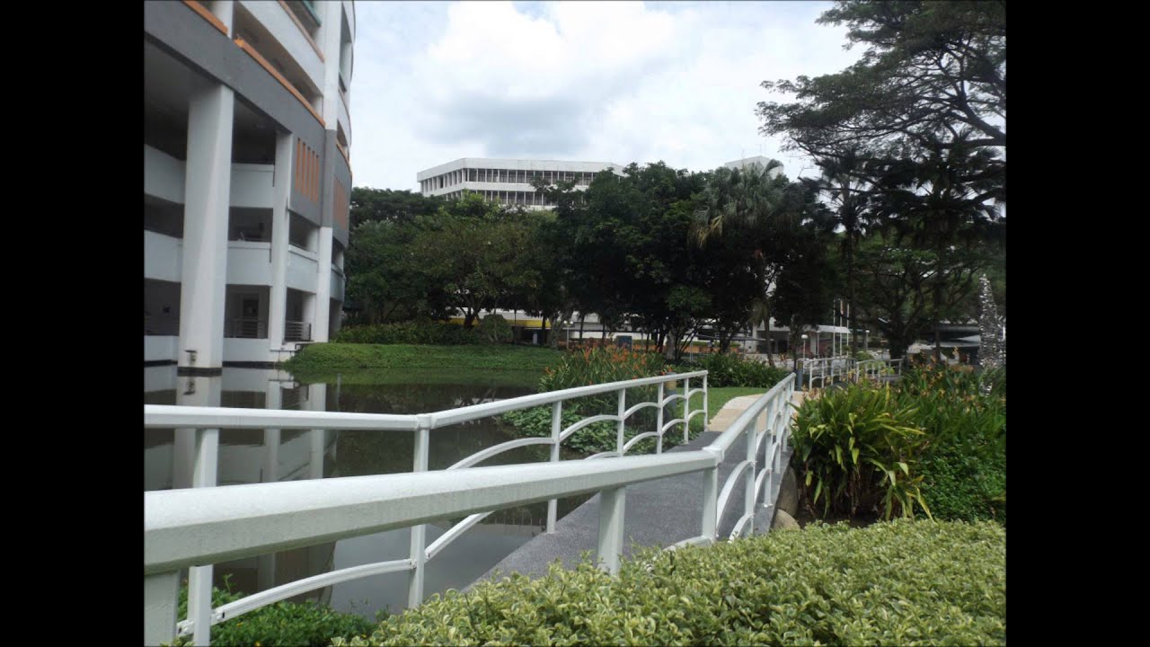 Pre-graduation photo taking @ NP campus - YouTube