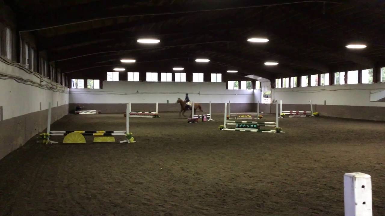 Sarah Lifson in Intermediate Fences at the 2016 Adelphi Horse Show ...