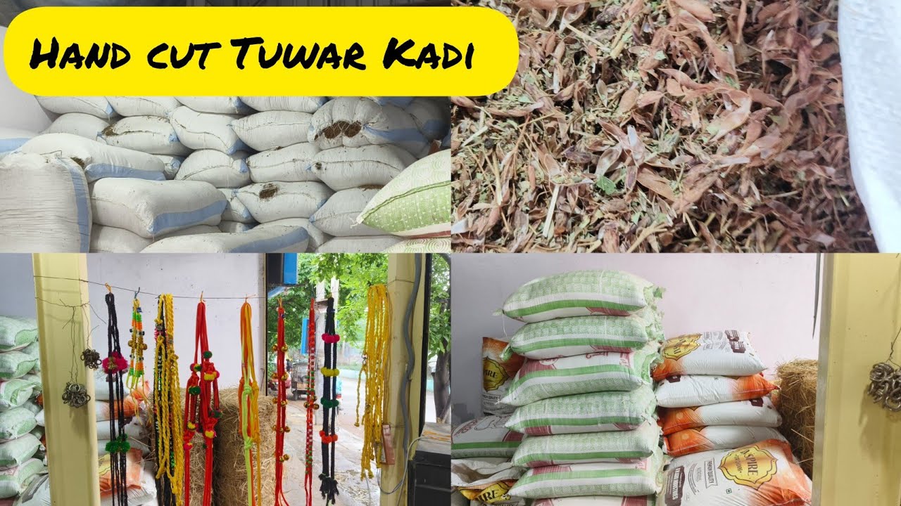 Hand Cut Tuwar Kadi || Available In MS ANIMAL FEED || Masab Tank ...