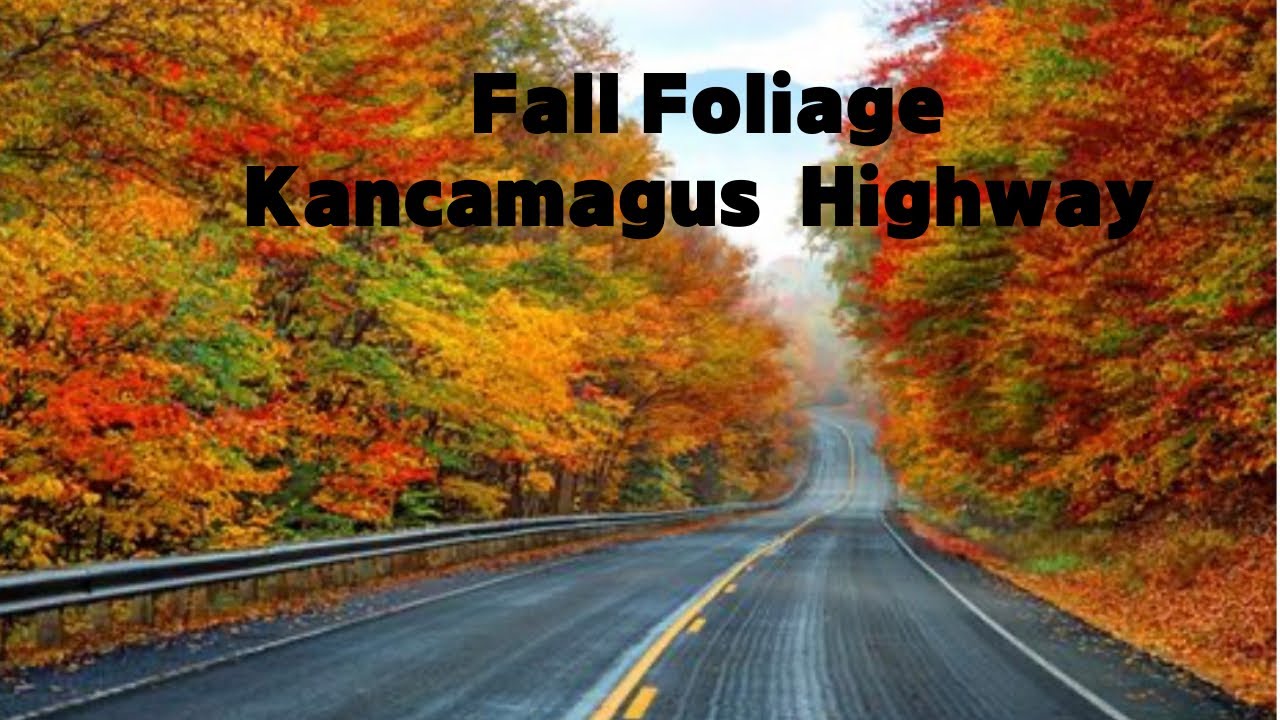Fall Foliage Kancamagus Highway NH - YouTube