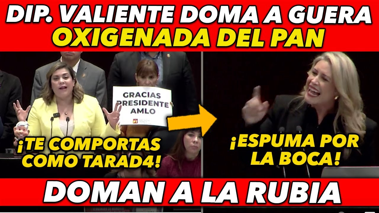 TREMEND4 PEL4A! DIP. VALIENTE DOMA A LA GUERA OXIGENADA DEL PAN Y LE DA ...
