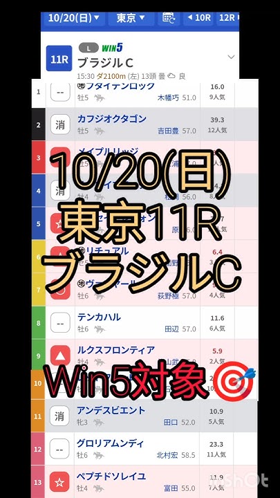 10/20(日)東京11R（WIN5）ブラジルC_リステッド#win5 #競馬予想 #中央競馬予想 #東京競馬 #中央競馬ライブ #競馬 #中央競馬 #馬券 #jra #ダート ...