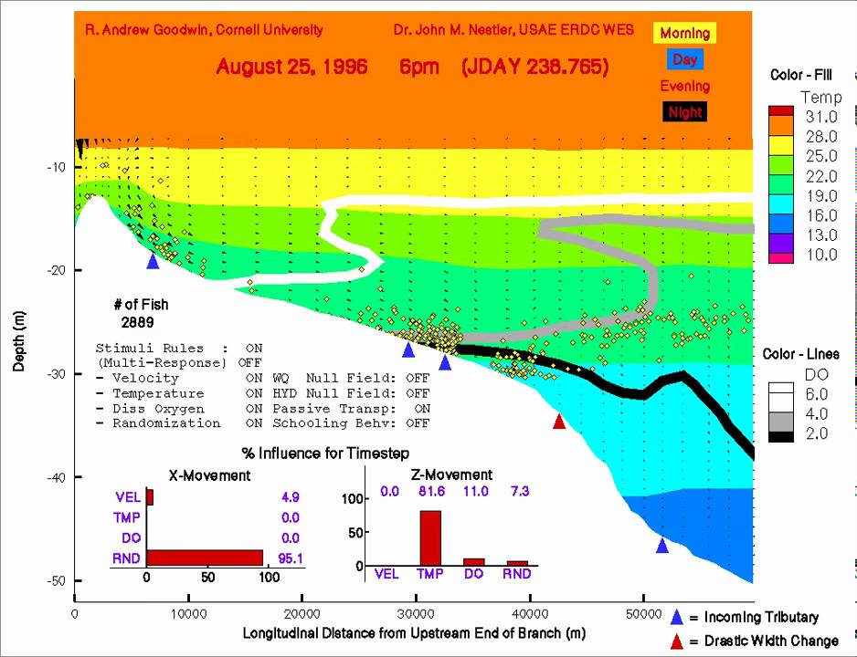 Modeling analysis of fish movement and distribution in a lake - YouTube