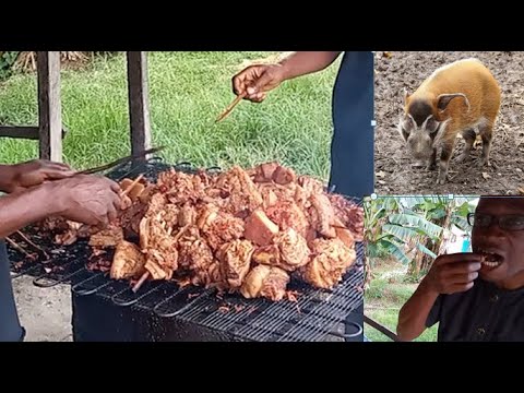 Grilled bushpig meat is fun - YouTube