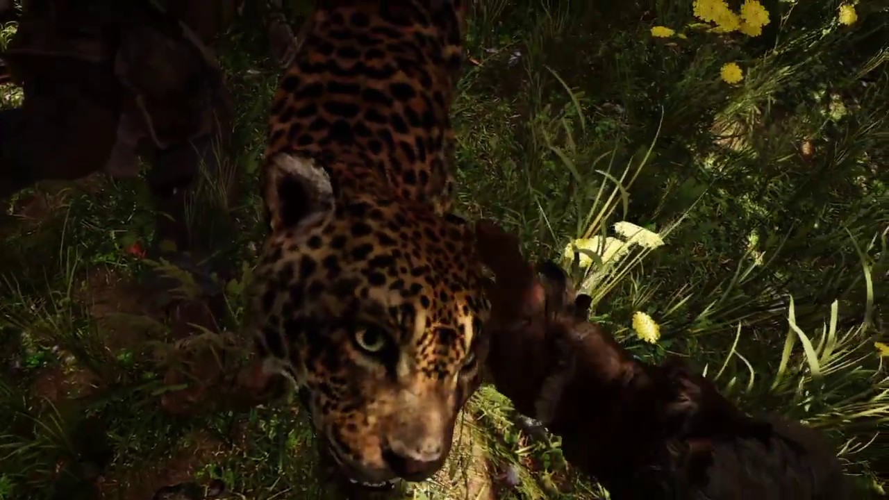 Far Cry Primal - Leopard eats human flesh - YouTube