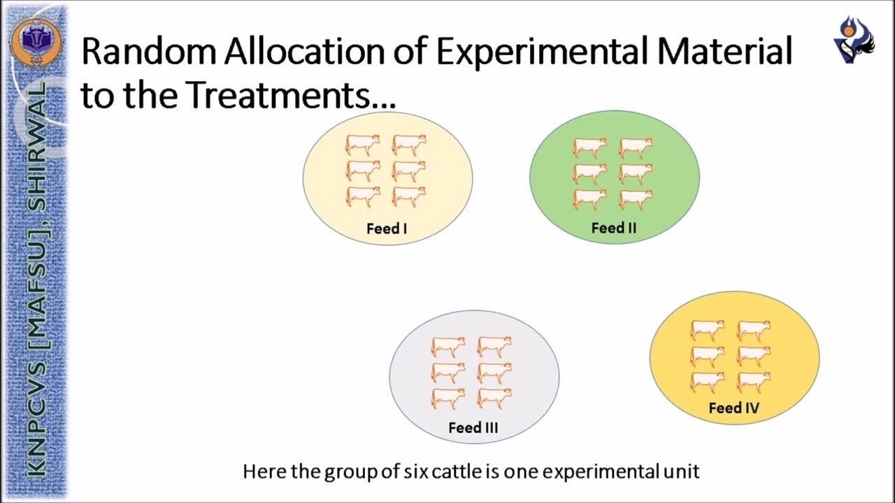 20 Completely Randomized Design, CRD - YouTube