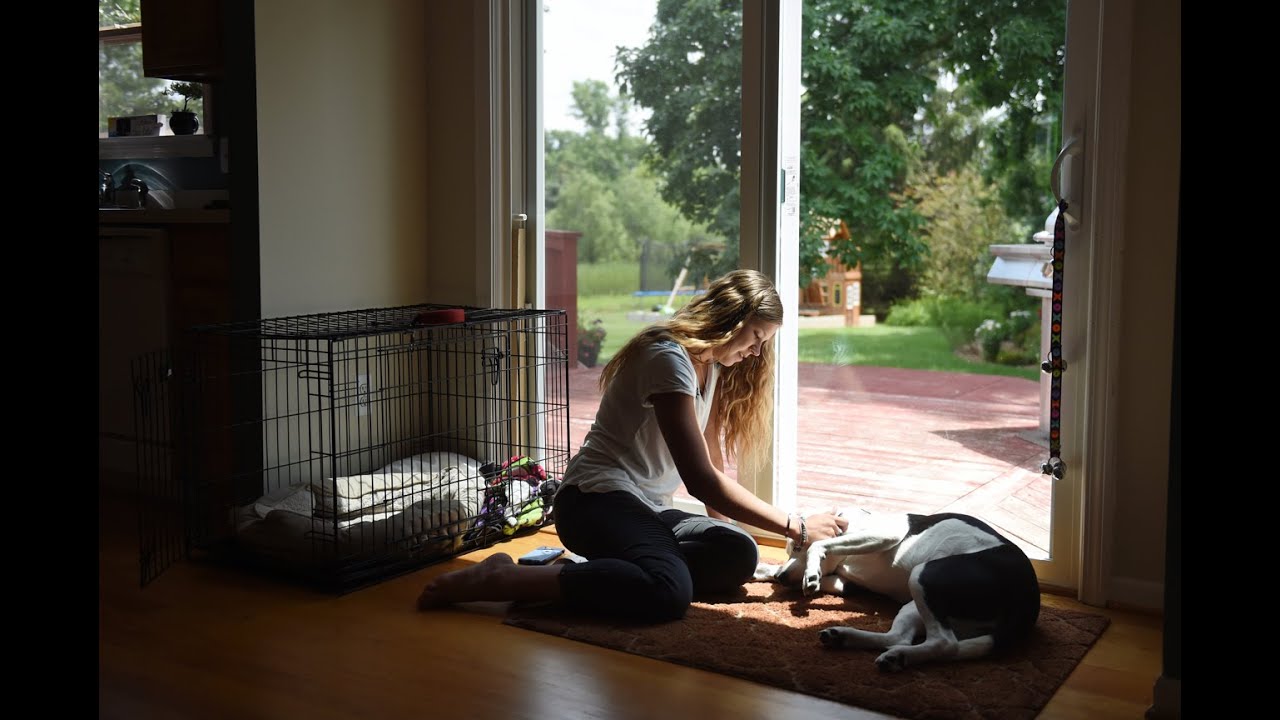 Howell teenager Elise Boyd describes anxiety that led to suicide ...