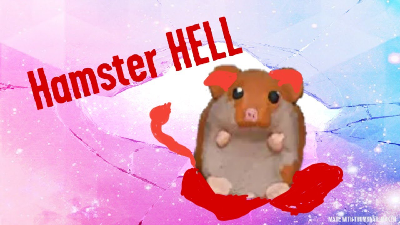 Hamster HELL//There is a reason for 18+// - YouTube