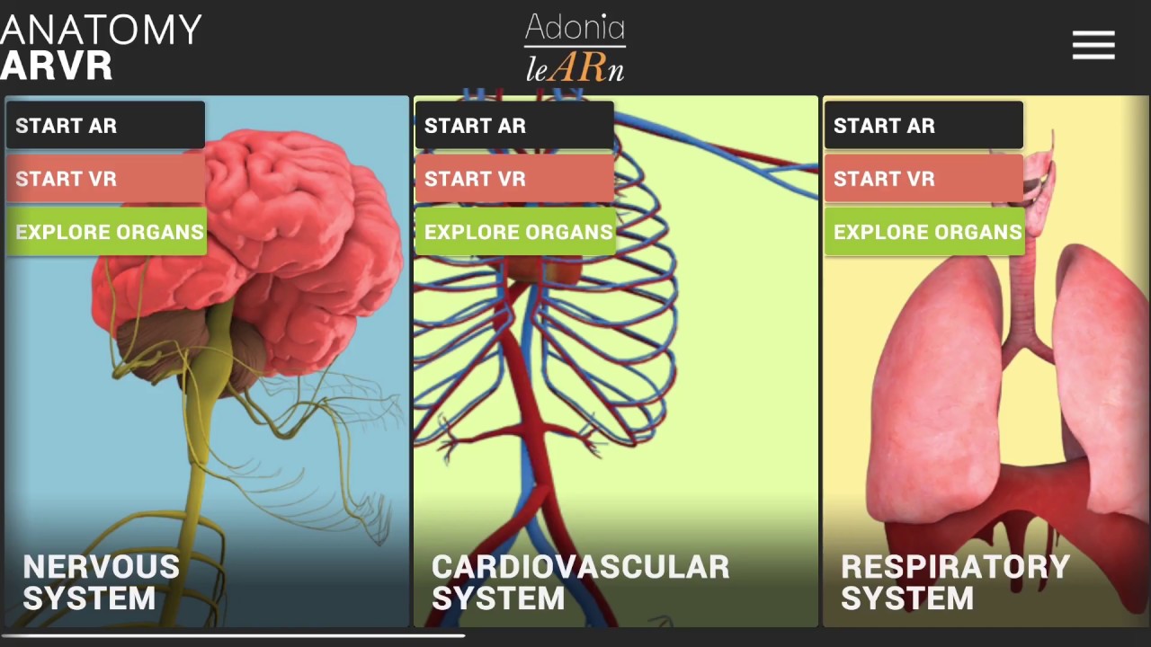 Anatomy ARVR - YouTube