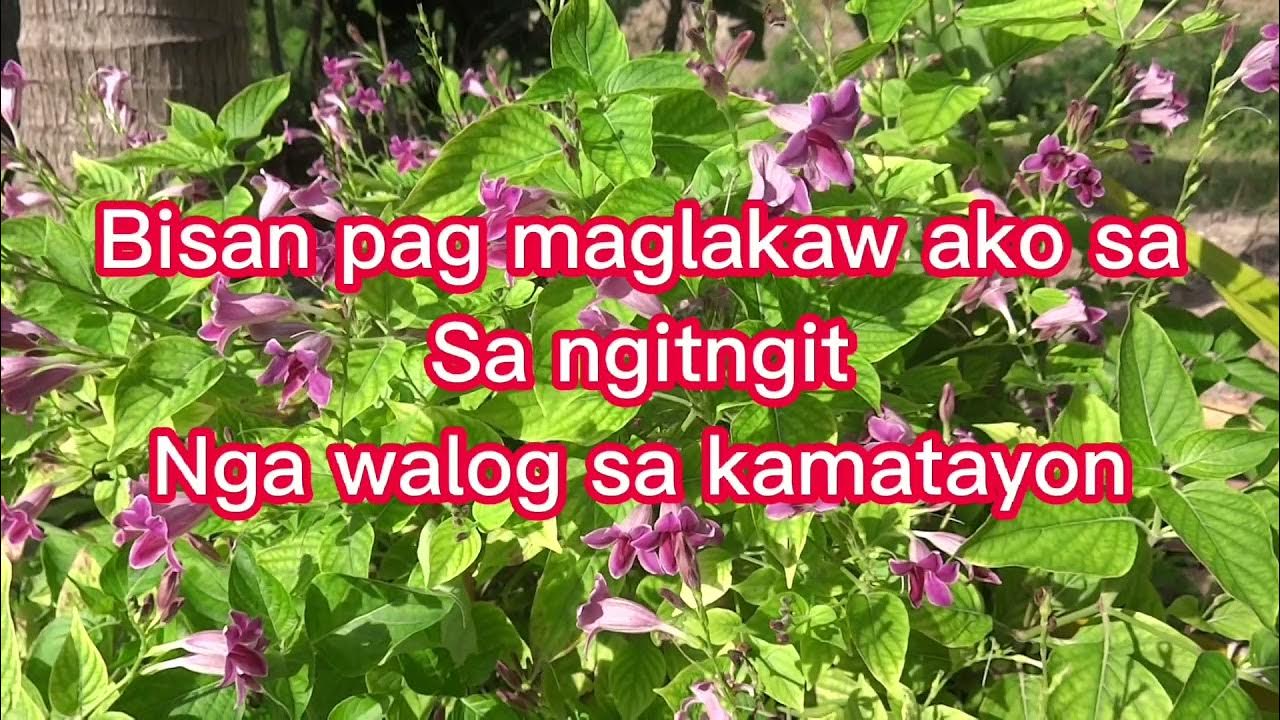 Salmo 23: Ang Ginoo akong Magbalantay (Psalm 23 Bisaya) - YouTube