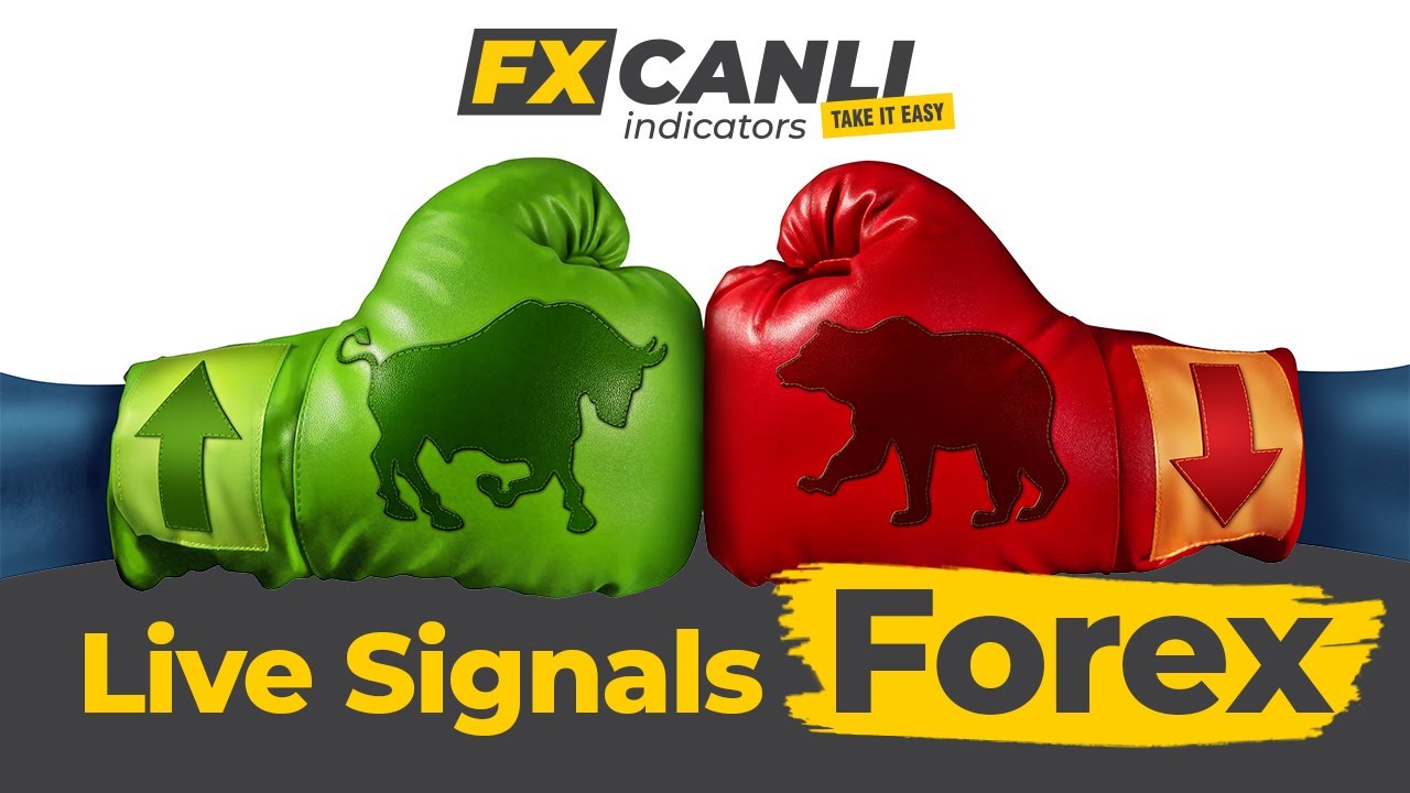 🔴 FOREX | GOLD | BITCOIN Live Trading & Live Signals - YouTube