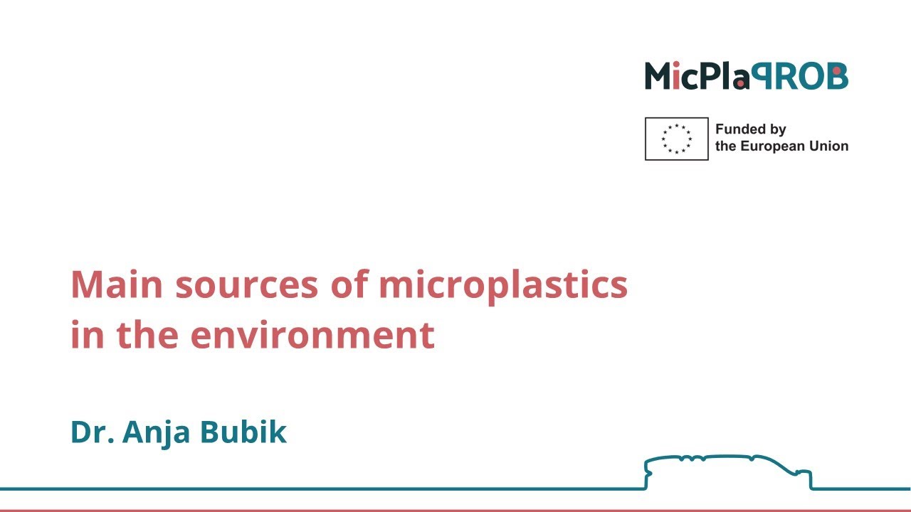 3.6 Webinar 3 IT - Main sources of microplastics in the environment, dr ...
