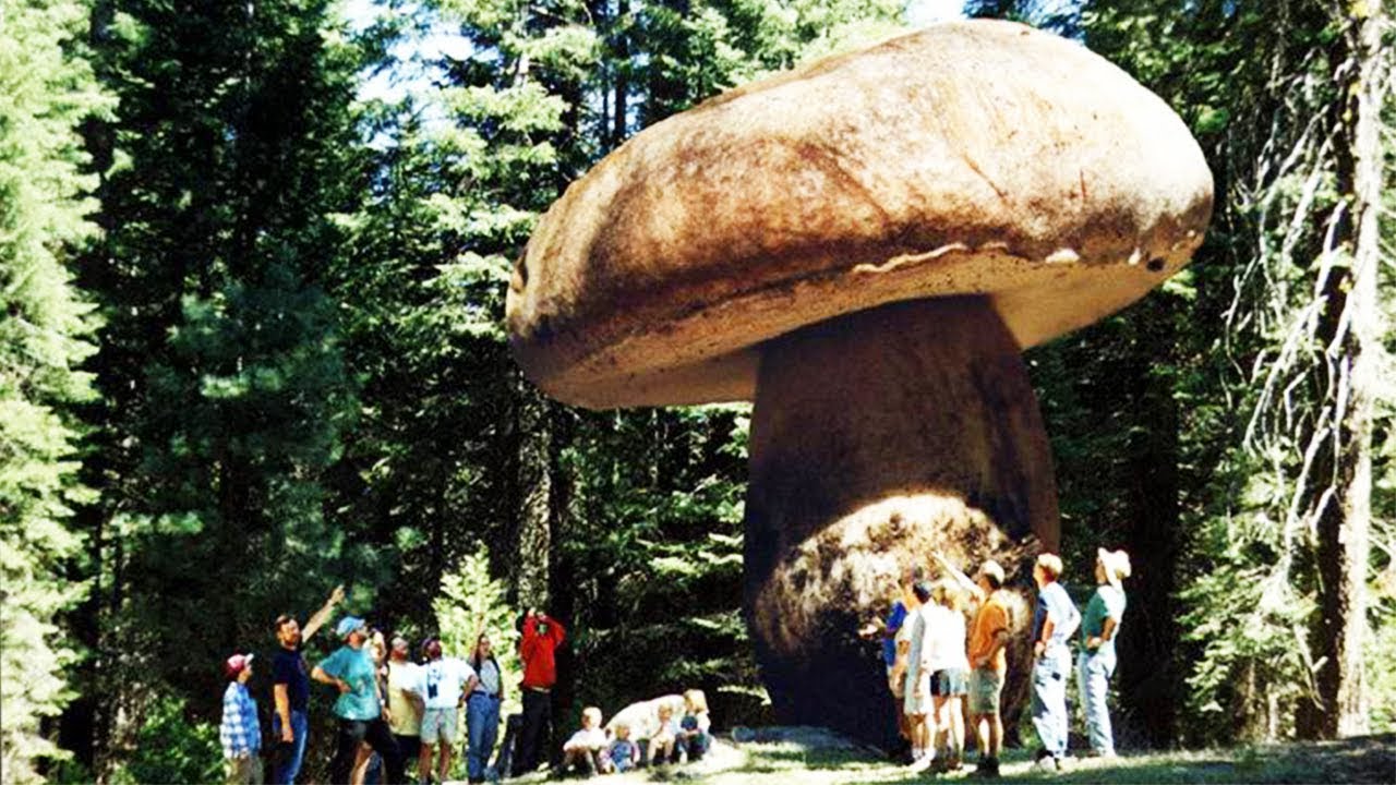 10 LARGEST Things In The World YouTube 10-largest-things-in-the-world-youtube