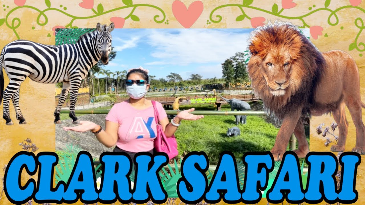 CLARK SAFARI AND ADVENTURE PARK 🦓 - YouTube