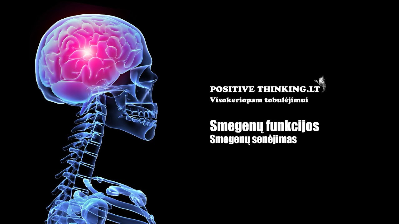 Smegenu funkcijos Smegenu senejimas - YouTube