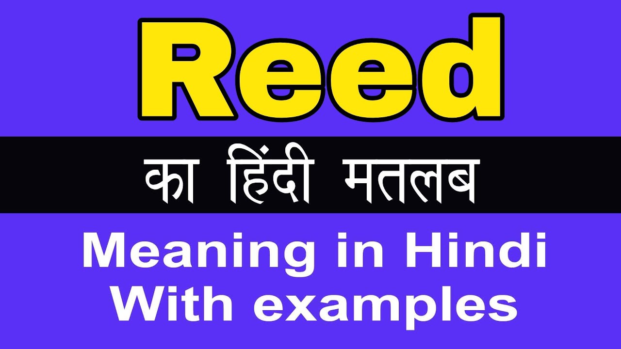 Reed Meaning In Hindi Reed Ka Matlab Kya Hota Hai YouTube reed-meaning-in-hindi-reed-ka-matlab-kya-hota-hai-youtube