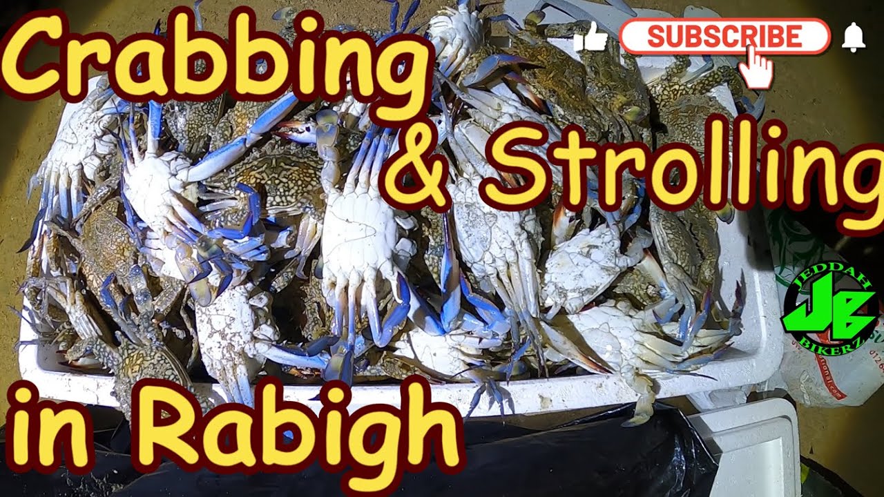Crabbing & Strolling in Rabigh | 4K UHD @ 60 fps | | #cyclist #fishing ...