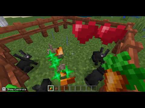 How to tame a rabbit in Minecraft - YouTube