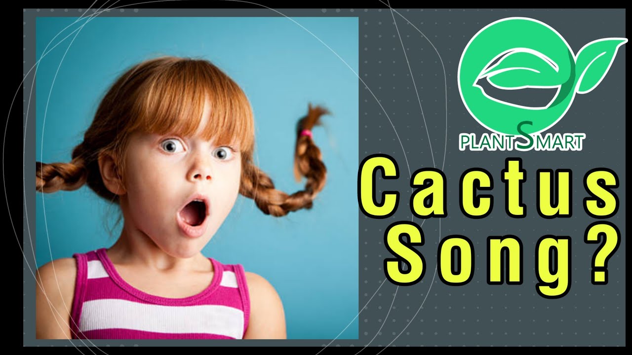 Cactus Song... #songsforchildren #plantsmart #cactus #song #1 #trending ...