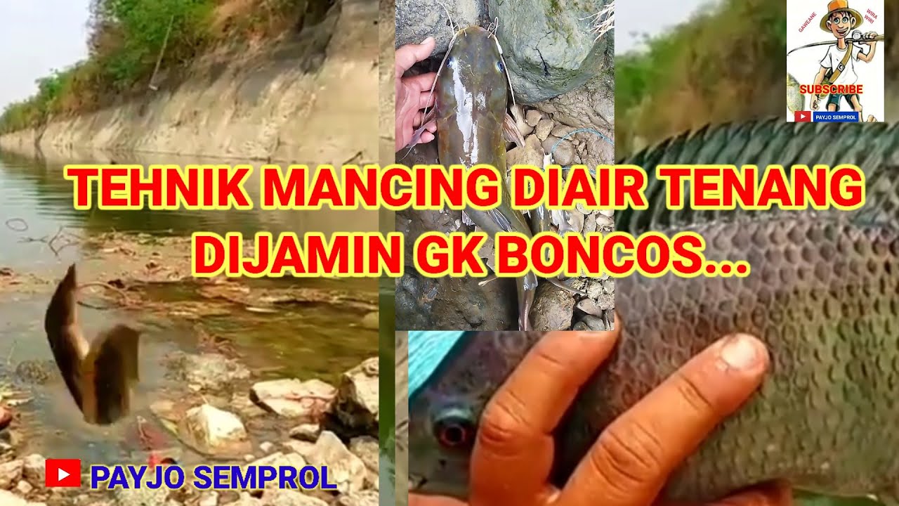 CARA MANCING IKAN SILI/BEROD - YouTube