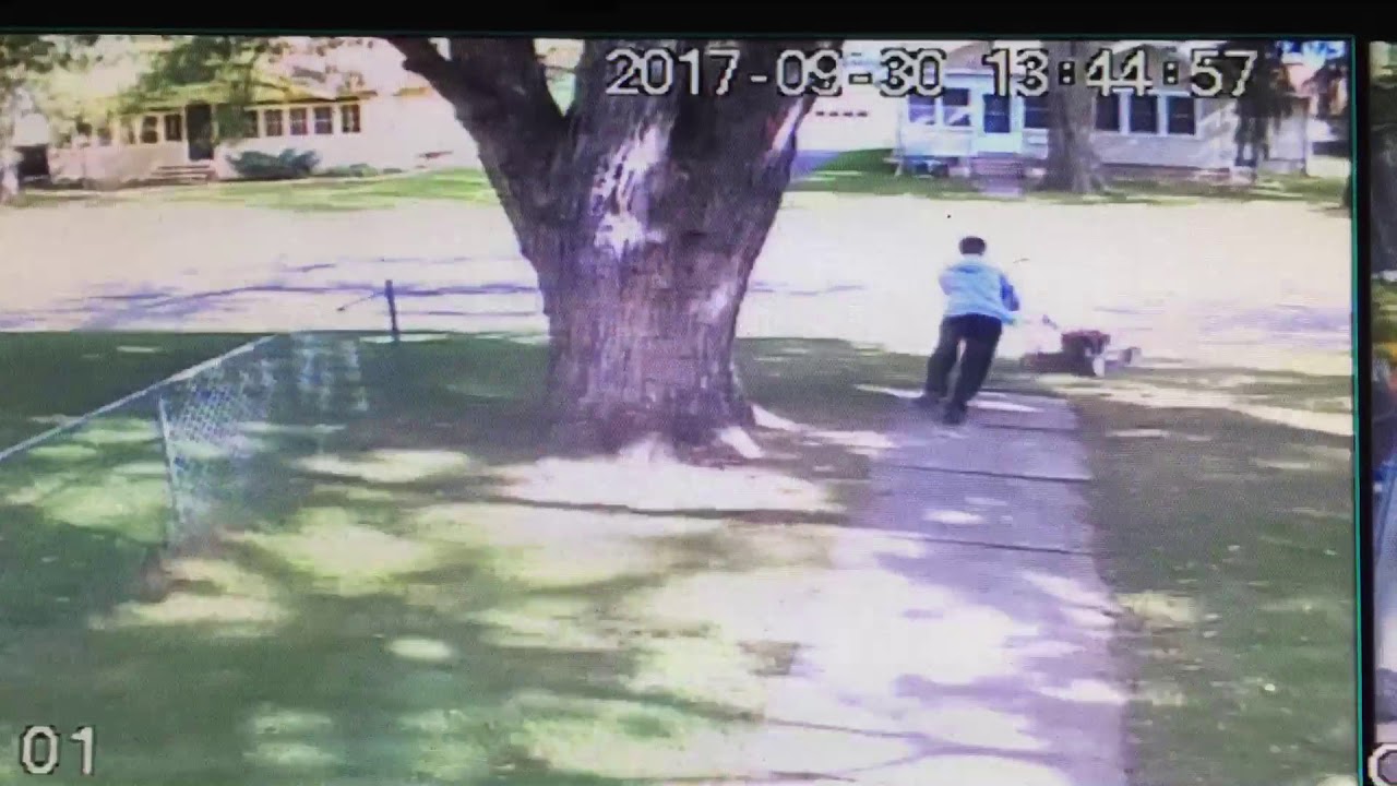 Almost getting hit by a falling branch - YouTube