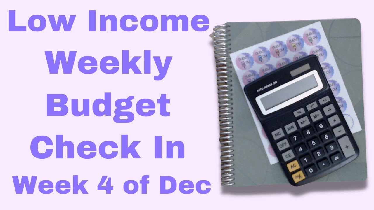 Low Income 💰Weekly Budget check in 💰Erin Condren Planner - YouTube
