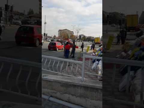 Tavşan la halay çekmek