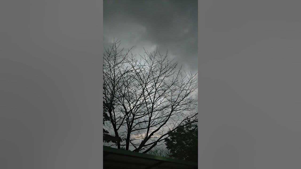 당신은 모름니다 Youtube