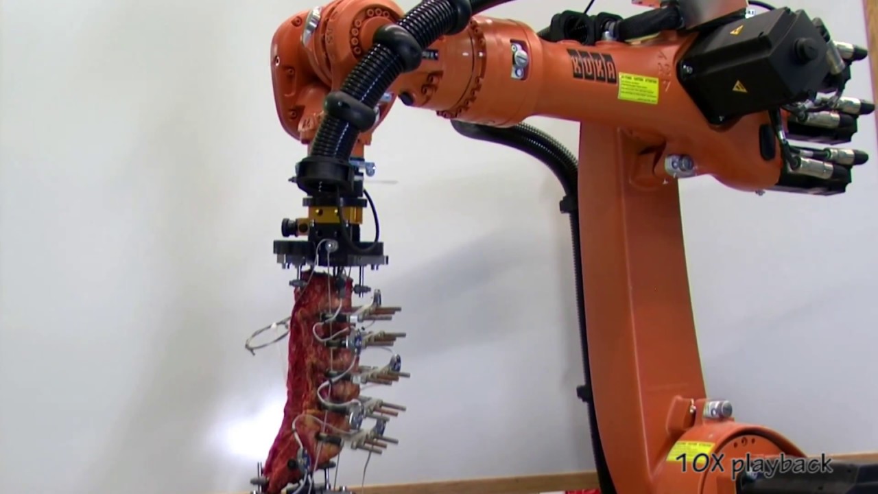 Cleveland Clinic BioRobotics Lab - Spine Musculoskeletal Simulator HD ...