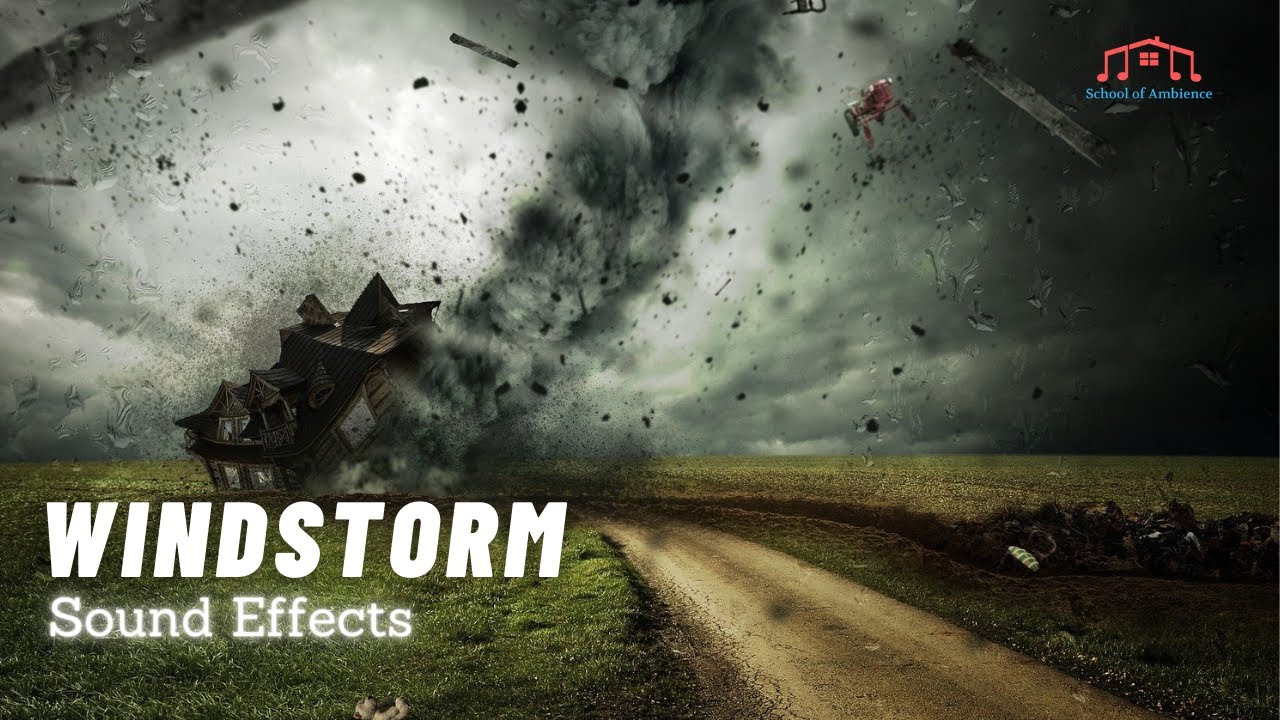 Heavy Wind and Tropical Storm Sound Effects | High Quality & Royalty ...