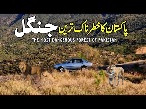 Wadi Soon Sakesar Khushab | Soon Sakesar Valley | Most Amazing Tourist ...