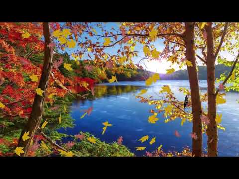 Nature Relaxing Flute music with  Beautiful- Forest - Lake  on a Sunny -Autumn -Day