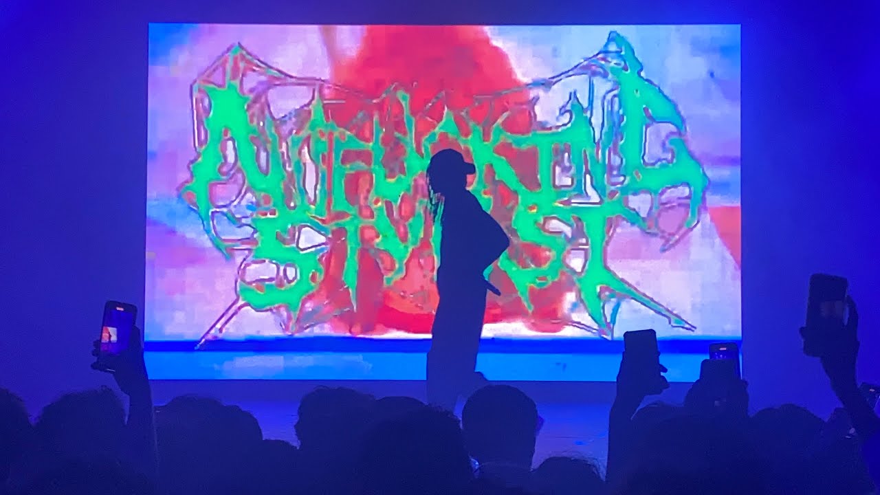 NO STYLIST TOUR SAN ANTONIO TX - YouTube